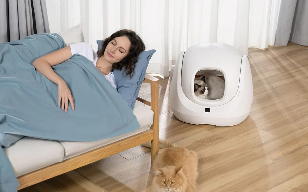 The Truth About Self-Cleaning Litter Boxes - Catlink New Zealand