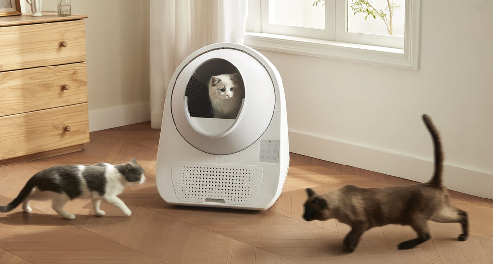 Best Automatic Self-Cleaning Litter Box NZ | Smart Cat Toilets ...
