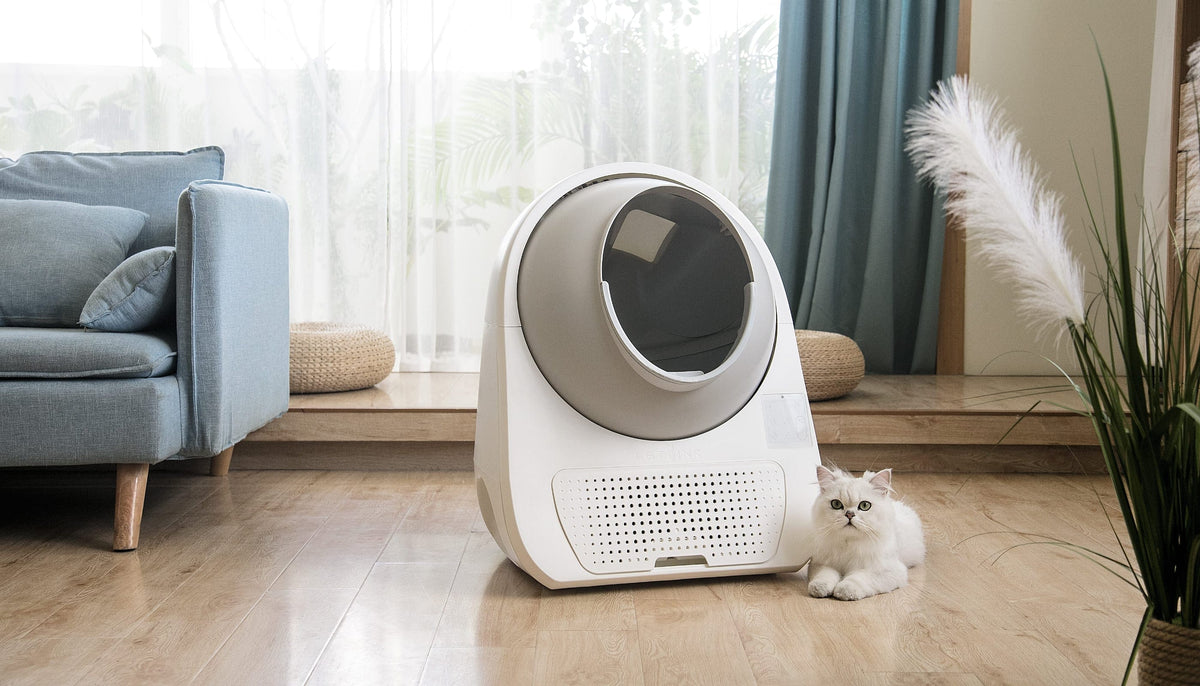 Shop Automatic Self-Cleaning Litter Box - Catlink New Zealand