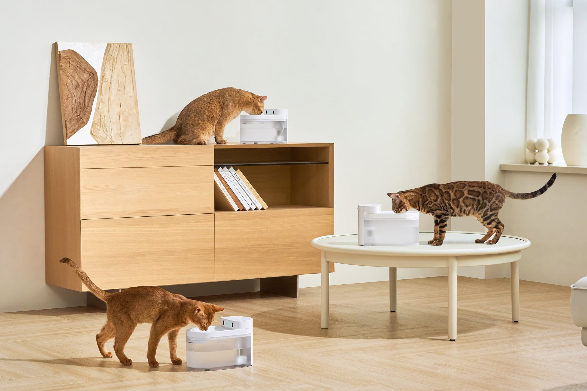 Shop Automatic Self-Cleaning Litter Box - Catlink New Zealand